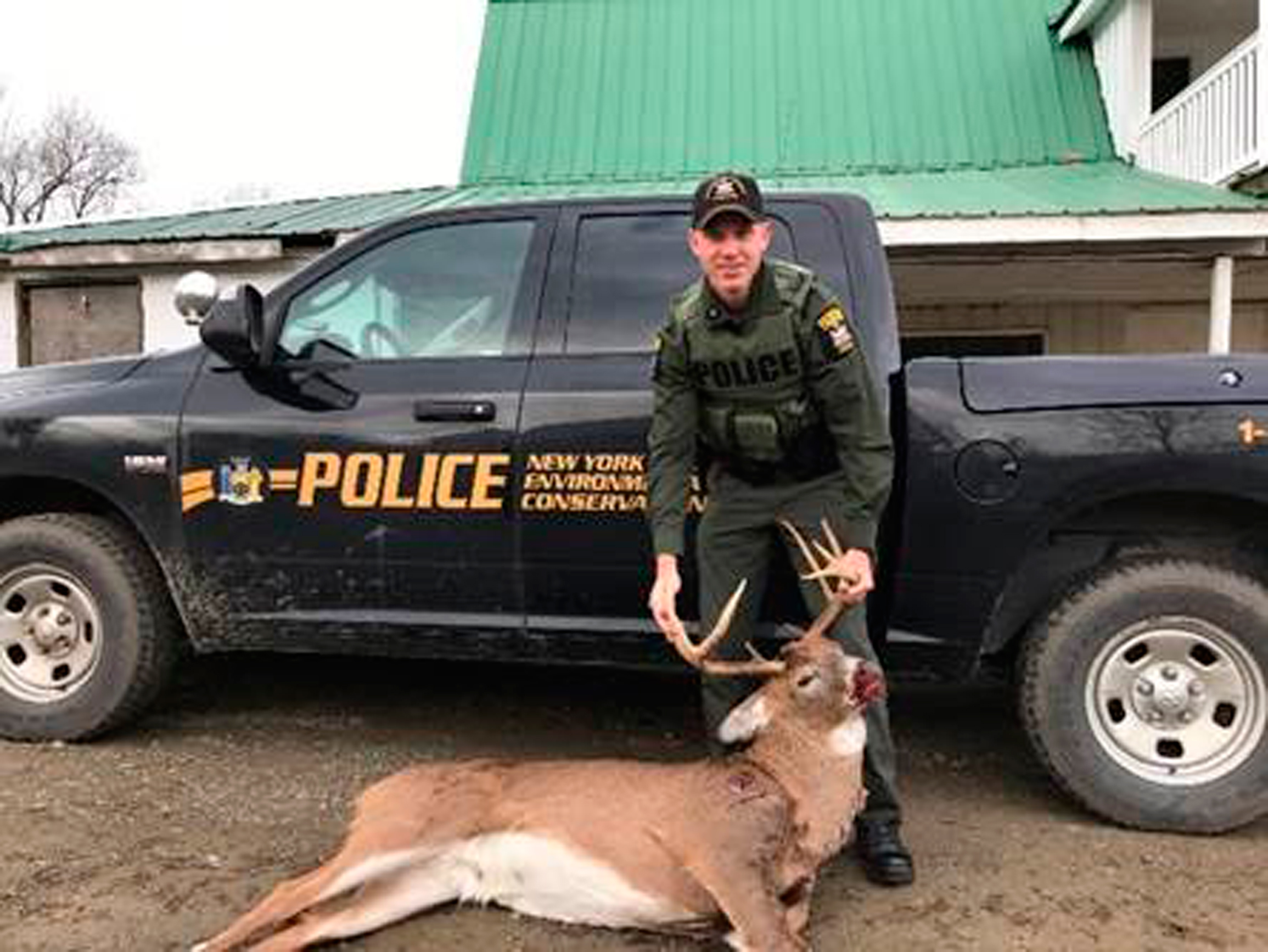Two ticketed in shooting of deer | News, Sports, Jobs - Observer Today
